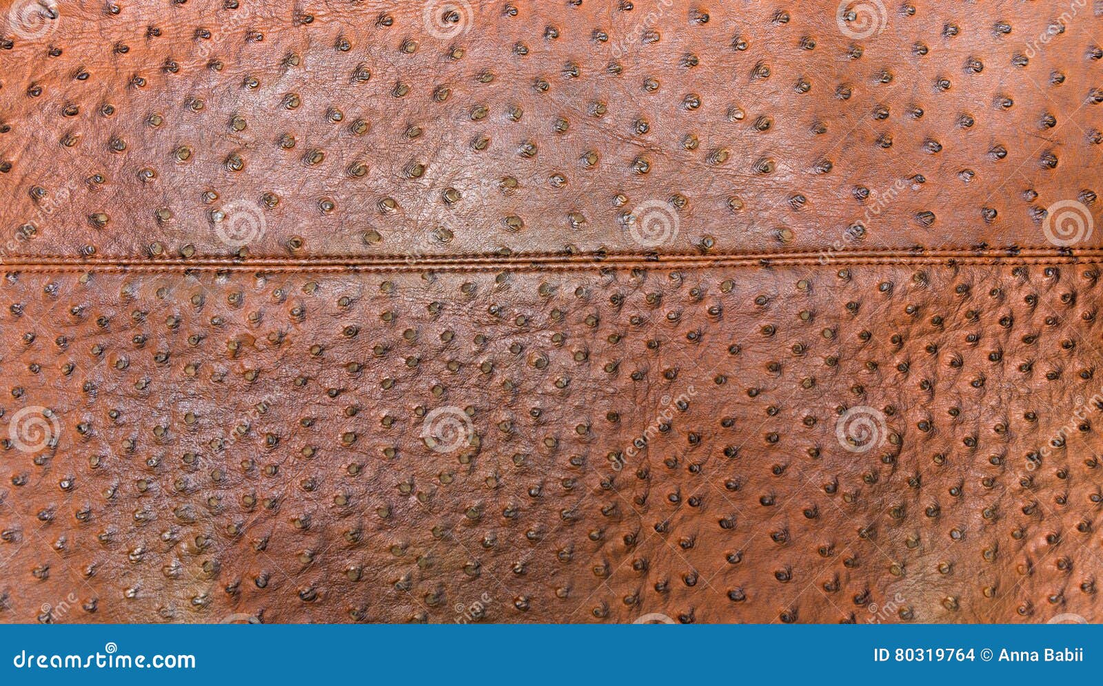 Genuine Leather Textured of Ostrich Skin Stock Photo - Image of ...