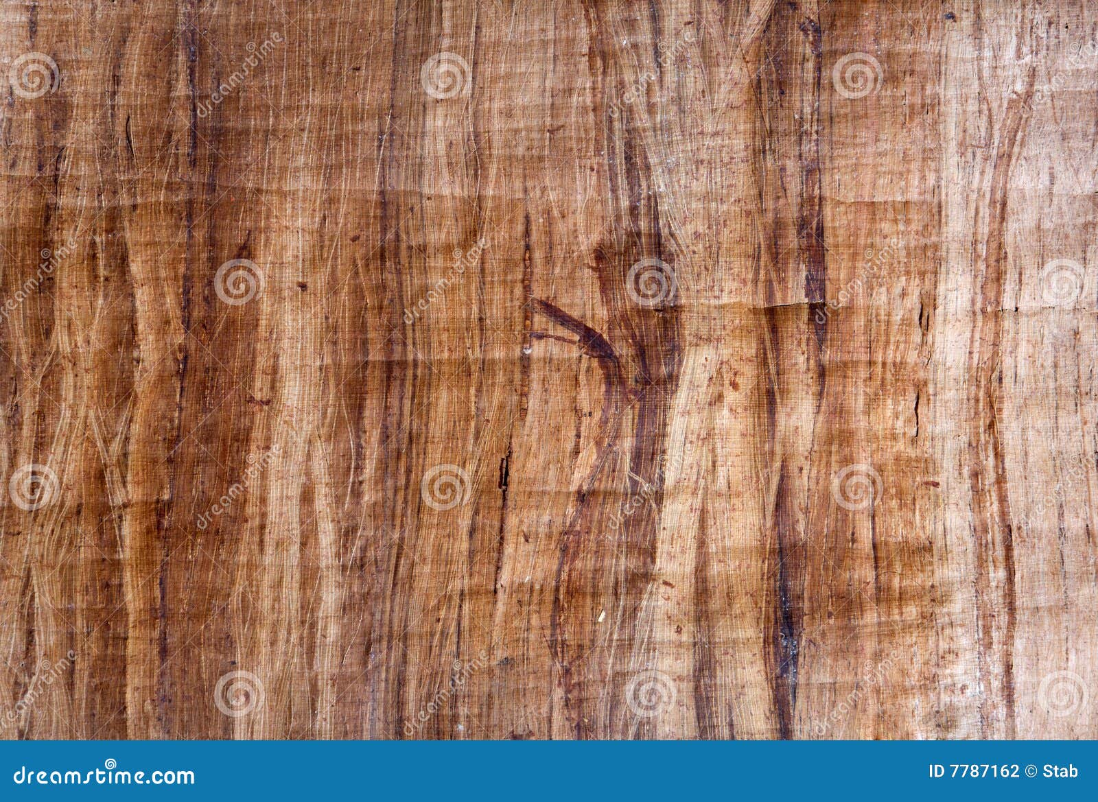 Genuine papyrus sheet stock photo. Image of pergament - 7787162