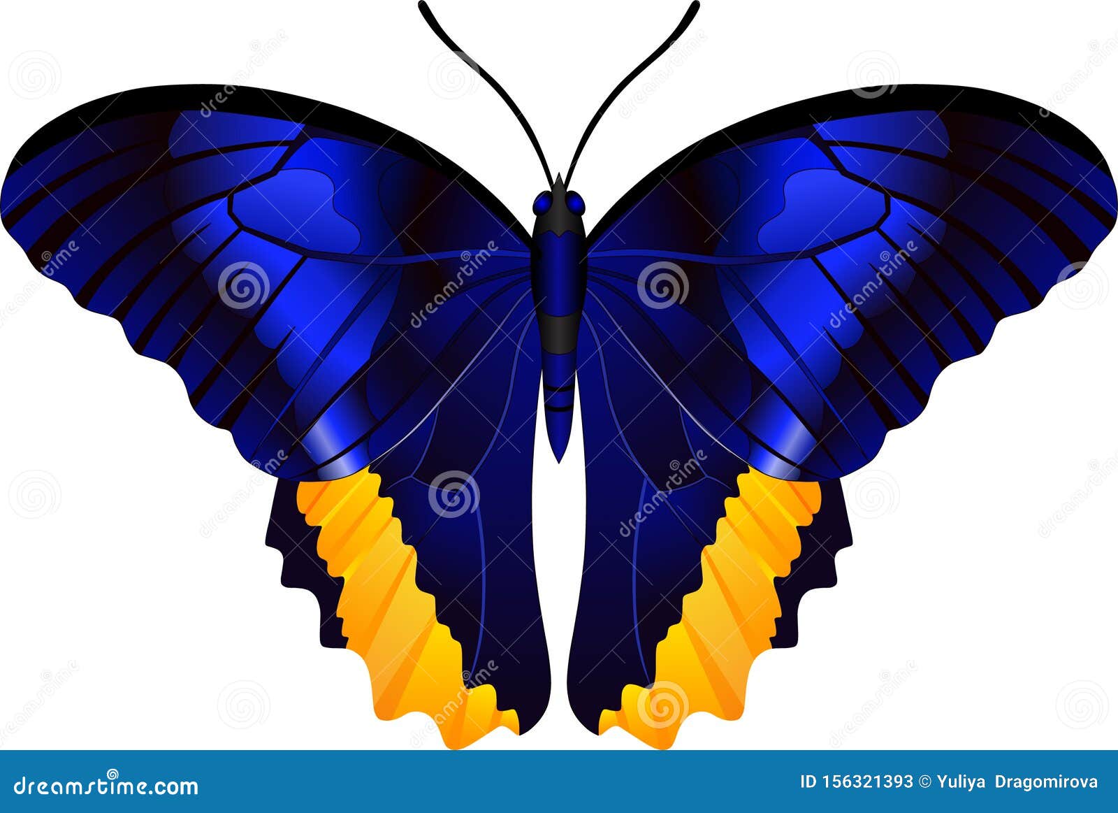 Owl Butterfly (Caligo Memnon) Made With Generative AI Illustration ...