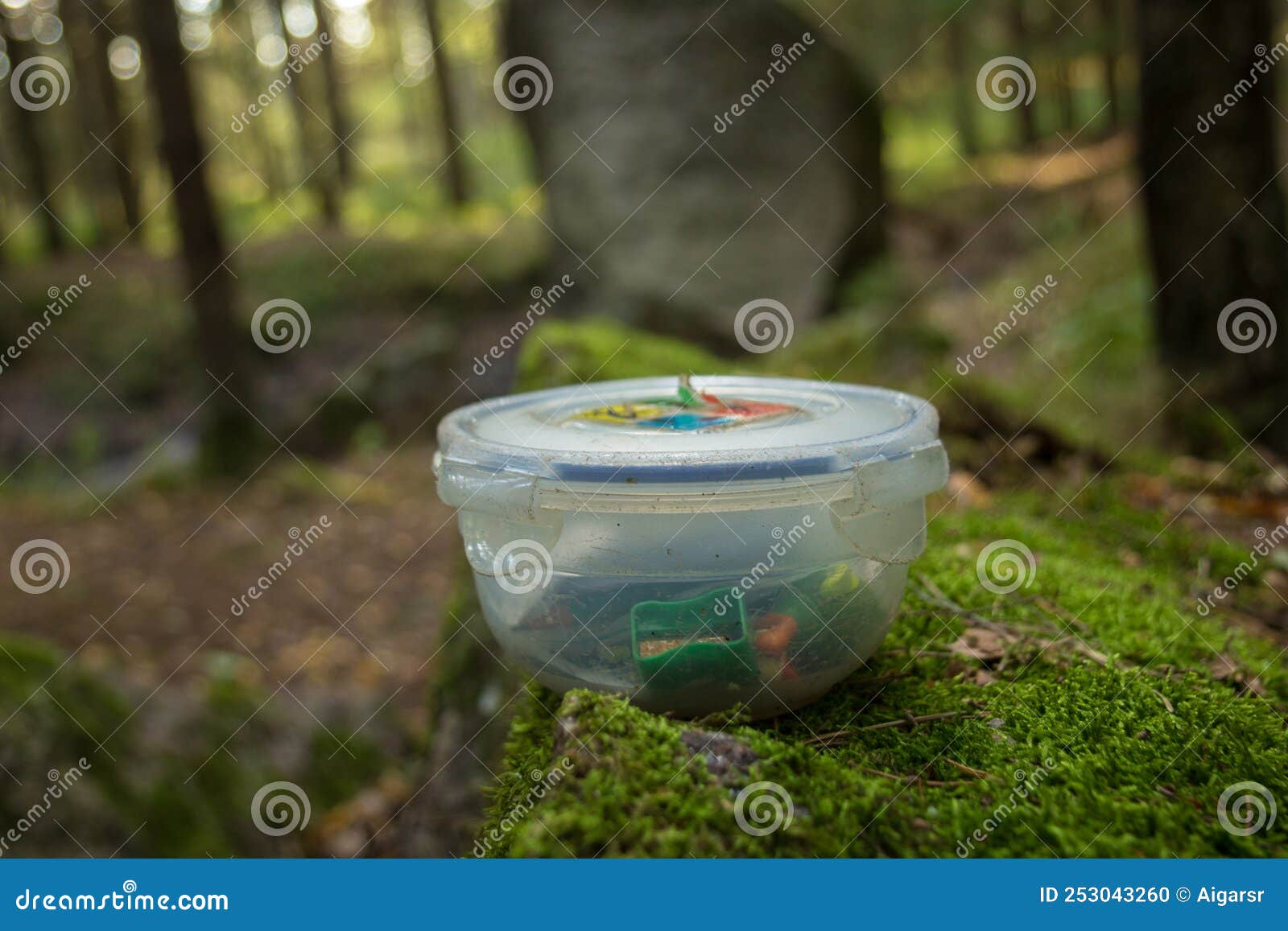 Geocaching Container in the Woods Stock Photo - Image of hobby ...