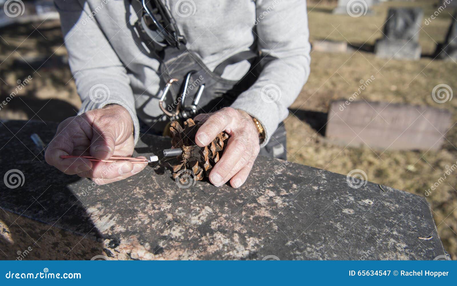 Geocaching and Finding a Cache Stock Image - Image of journey, leisure ...