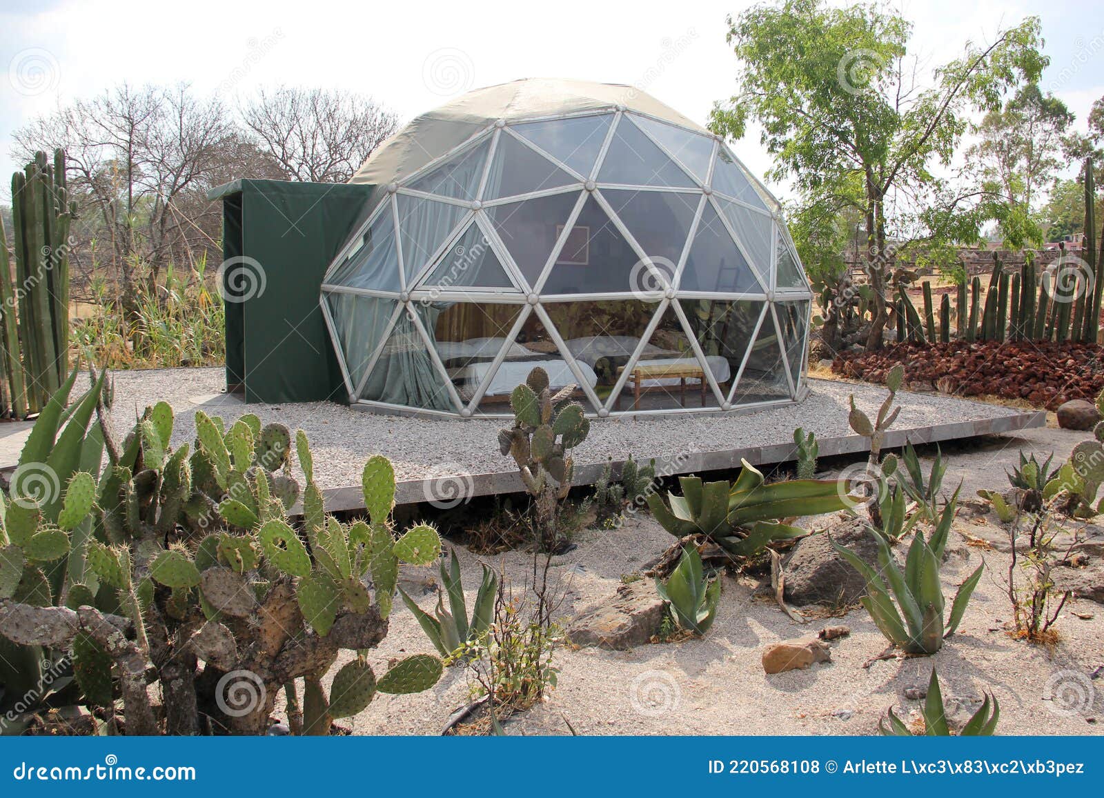 Geodesic Dome Tent for Glamping in the Middle of the Cactus Forest in ...