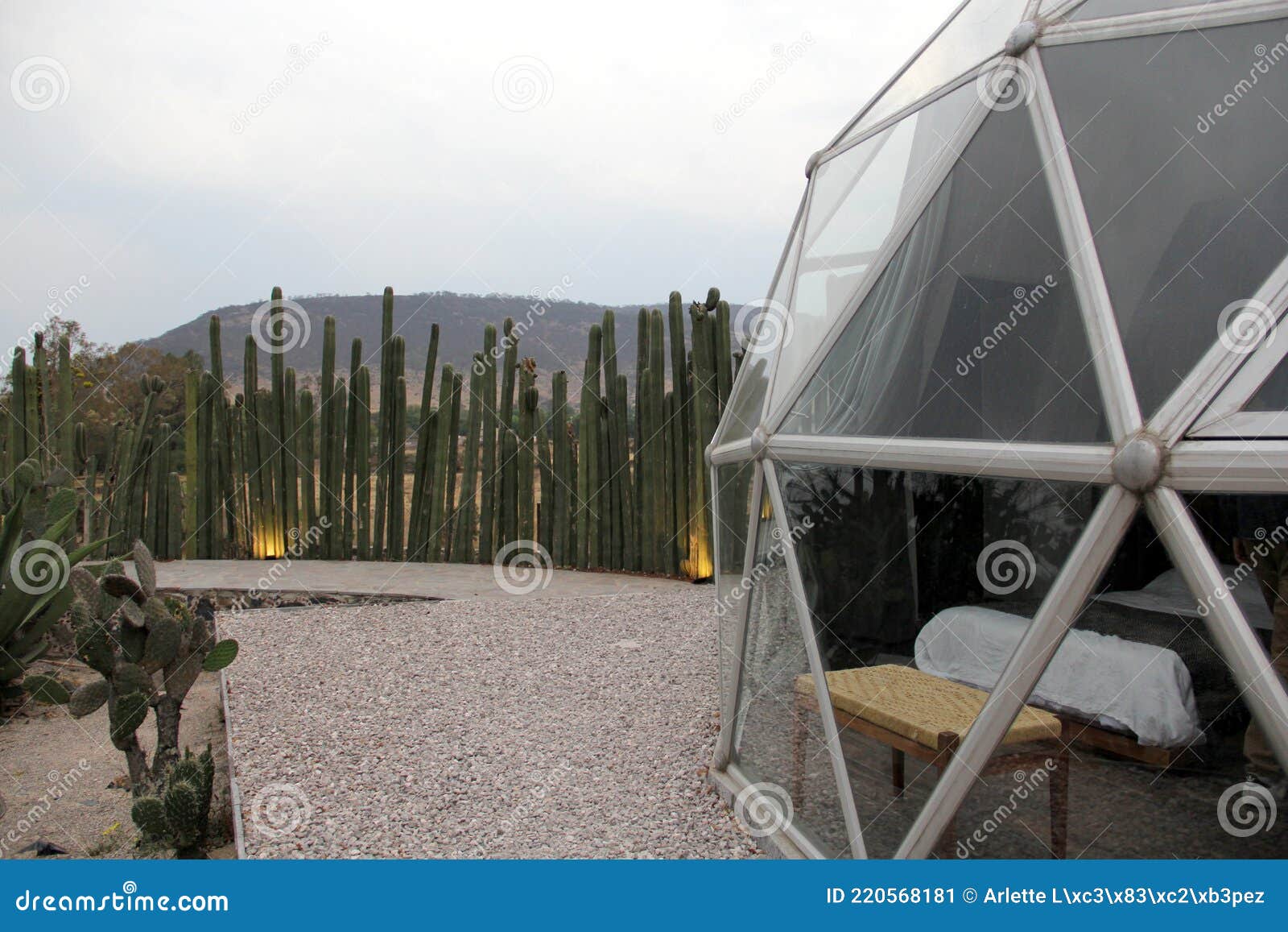 Geodesic Dome Tent for Glamping in the Middle of the Cactus Forest in ...