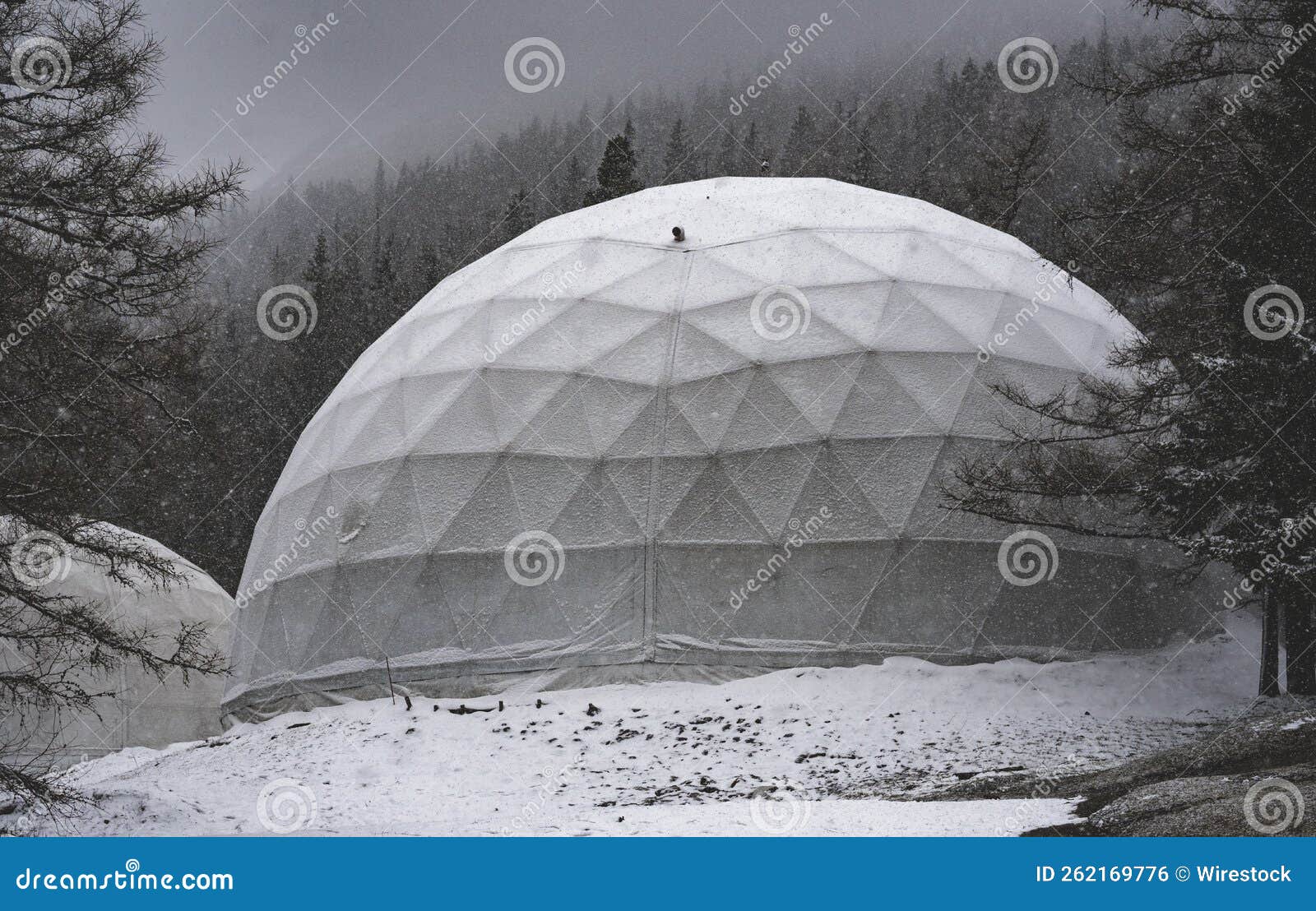 Geodesic Domes in a Winter Forest Stock Photo - Image of domes, shape ...