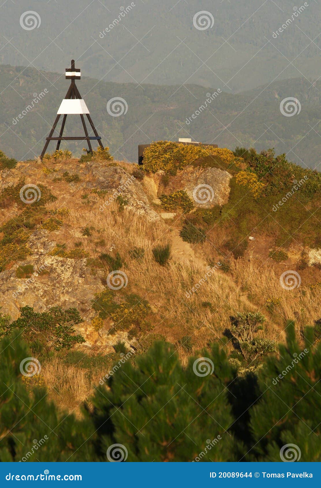 Geodetical survey point stock photo. Image of pine, black - 20089644
