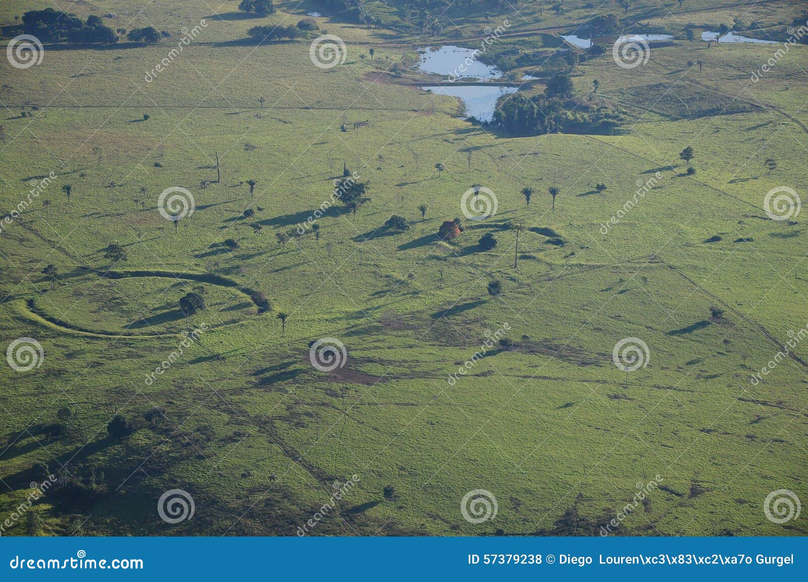 Geoglifos stock photo. Image of exploration, grass, field - 57379238