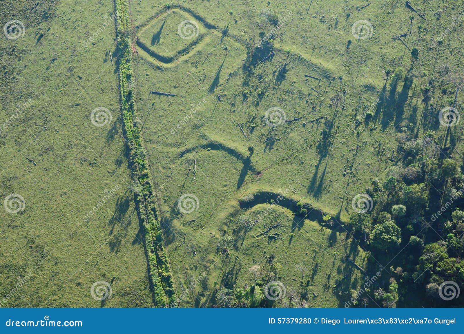 Geoglifos stock photo. Image of grass, geoglyphs, paleontology - 57379280