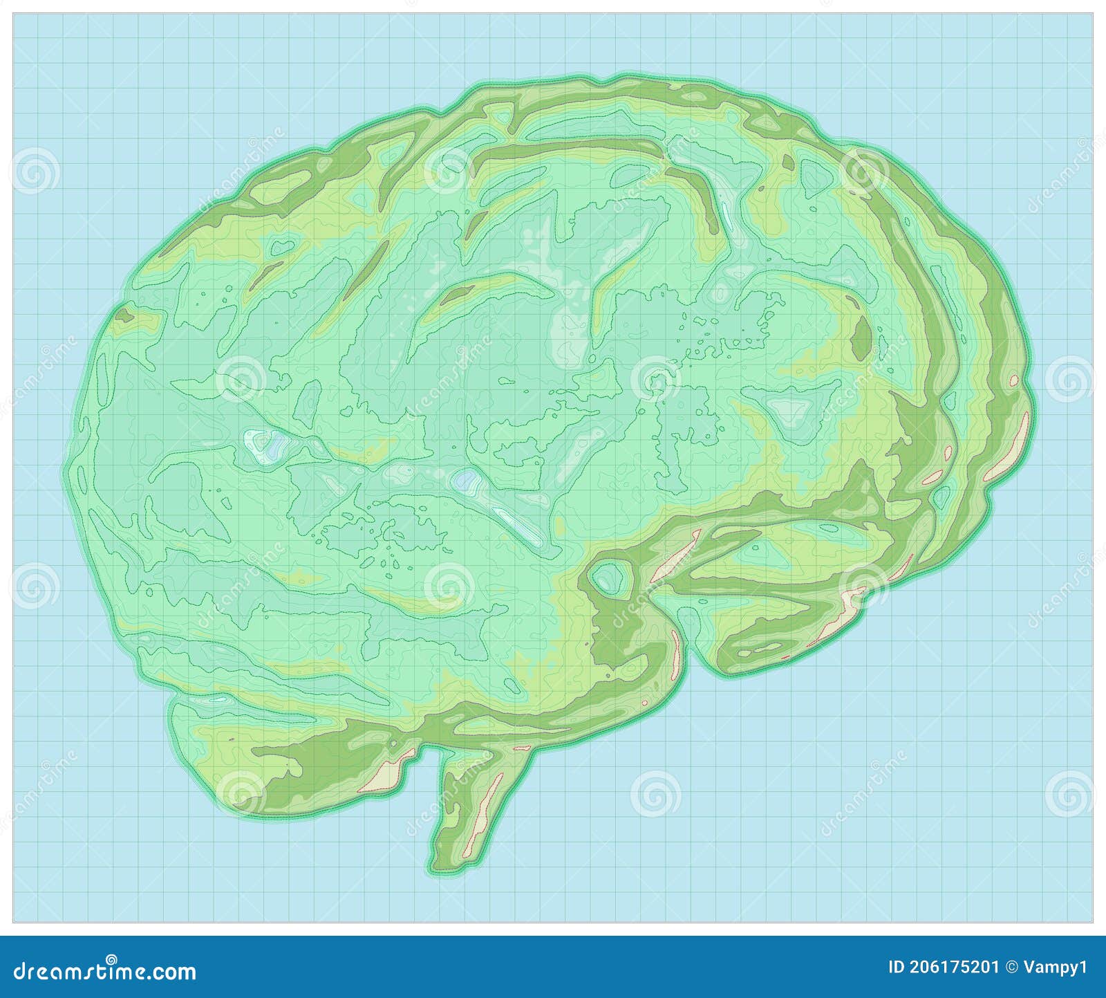 Geographic Map Of The Brain, Reworking Of The Human Brain In The Form ...