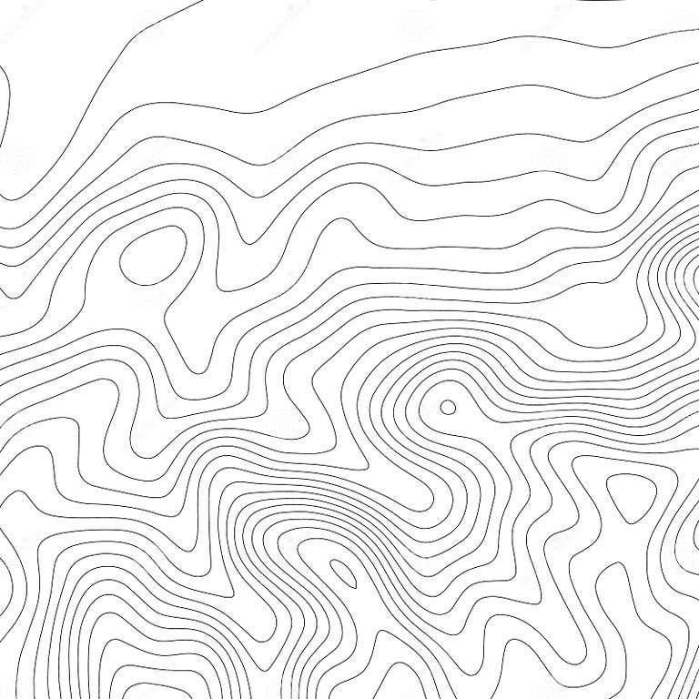 Geographic Pattern. Topographic Map on White Background. Topo Map ...