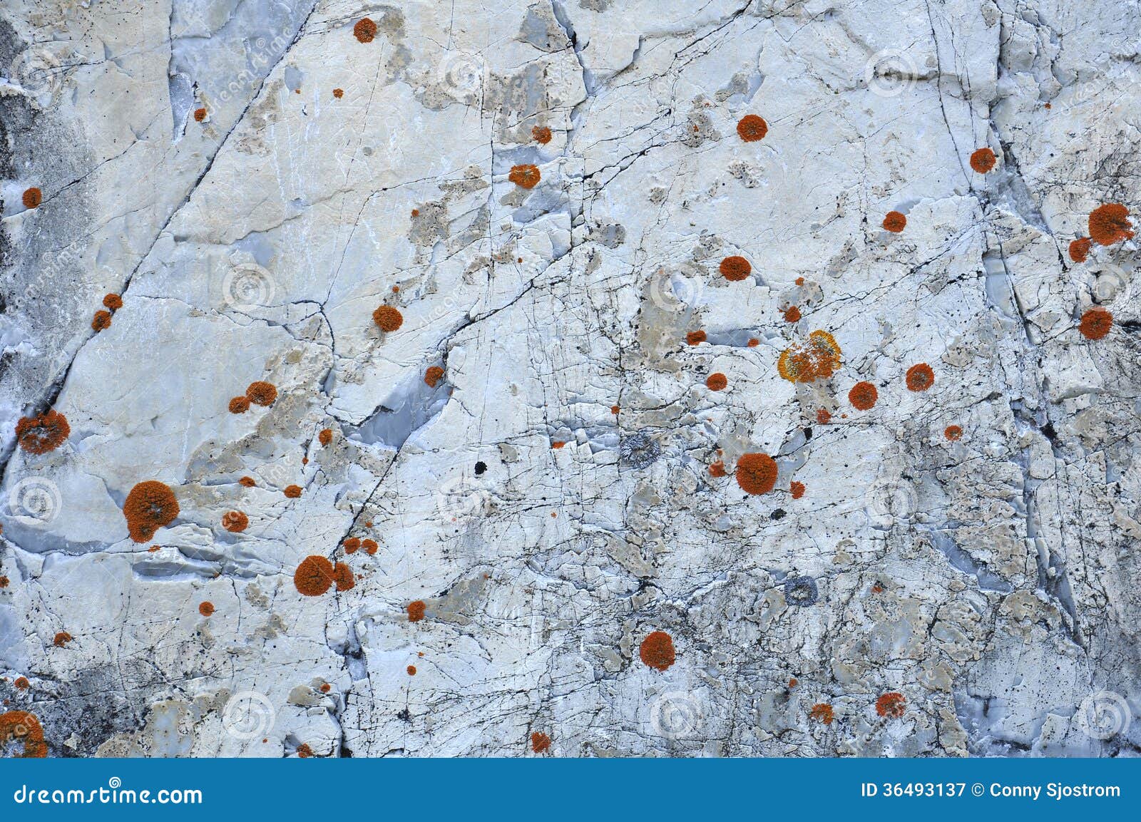 Geologic rock formation stock image. Image of abstract - 36493137