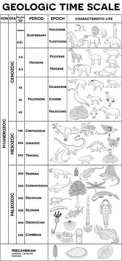 Geologic time scale 向量例证. 插画 包括有 培训, 现有量, 全寒武纪, 材料, 史前 - 299708351