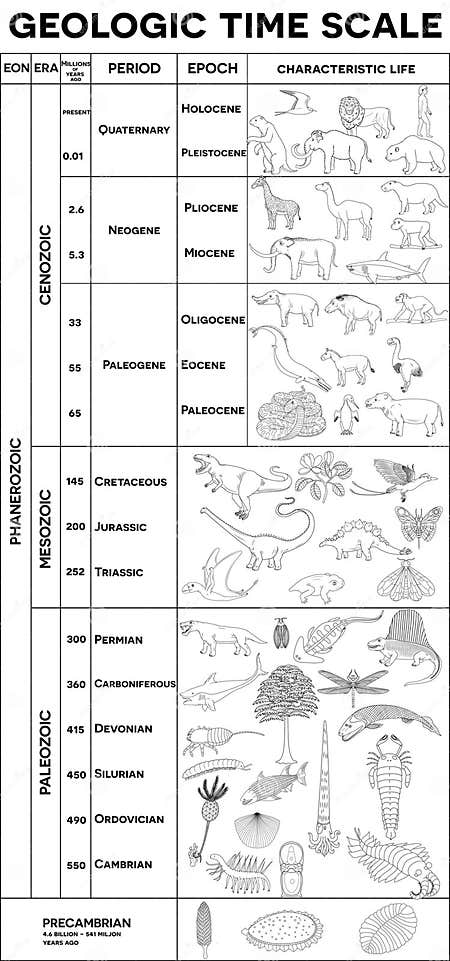 Geologic time scale 向量例证. 插画 包括有 培训, 现有量, 全寒武纪, 材料, 史前 - 299708351