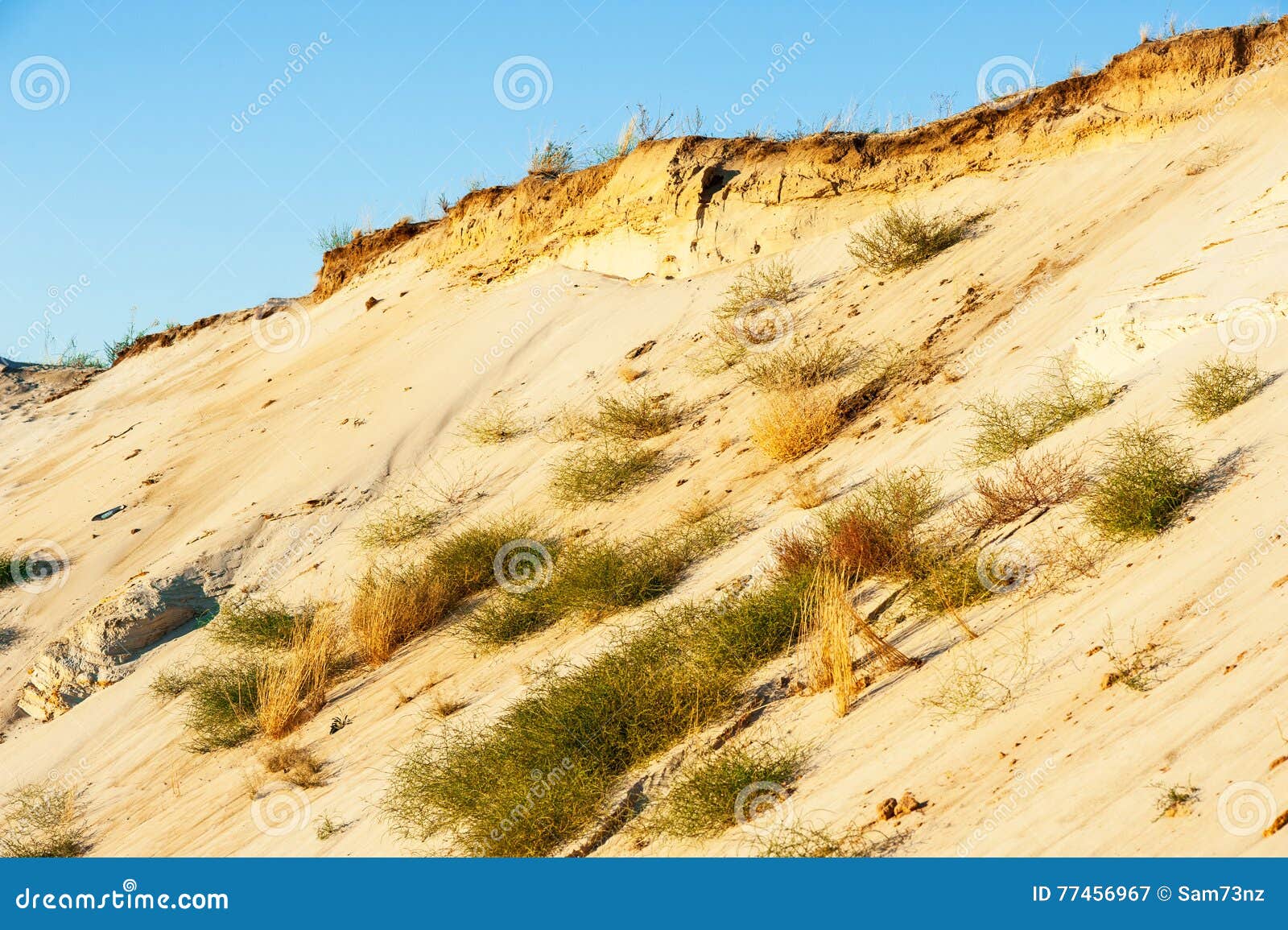 Geological cut of sands stock image. Image of plant, nature - 77456967