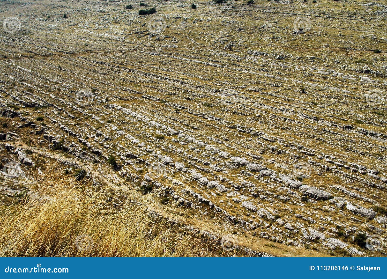 Jurassic Limestone Layers. Geological Pattern Stock Photo - Image of ...