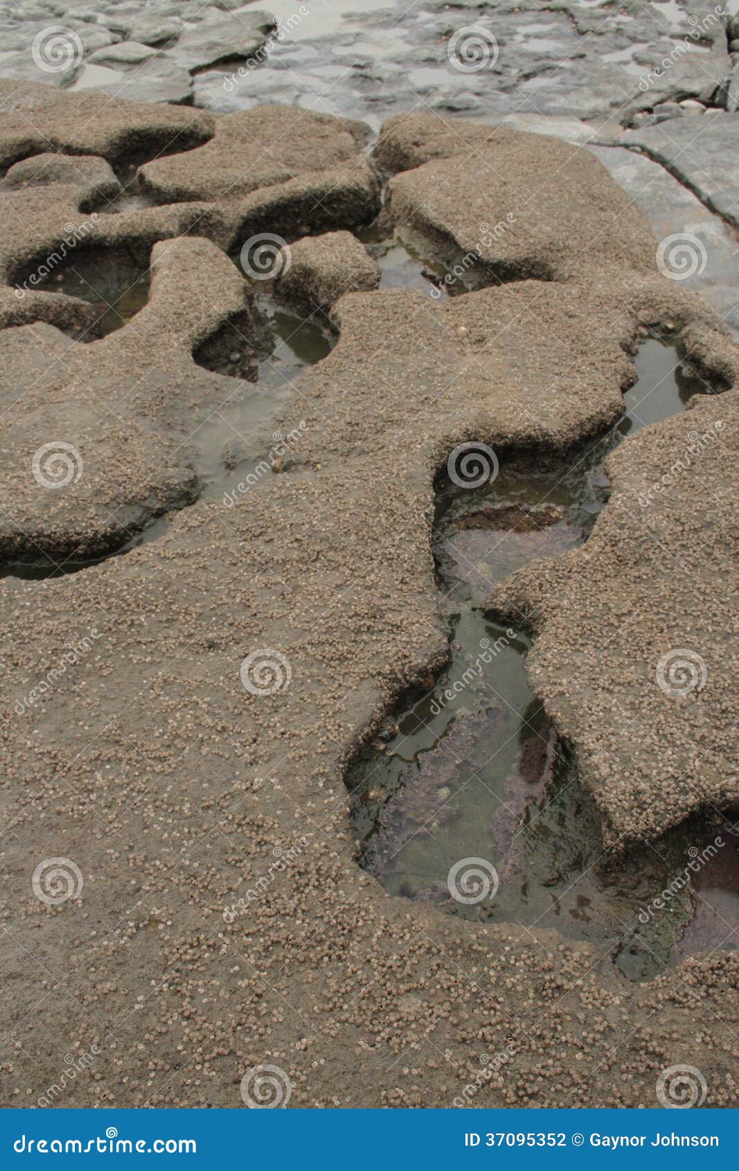 Geological Formation of Rocks Stock Photo - Image of curves, life: 37095352