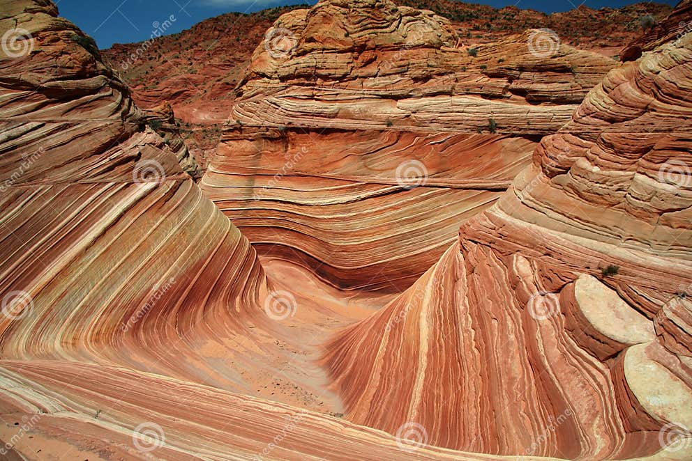Geological Formation - the Wave Stock Photo - Image of rust, mesa: 376502