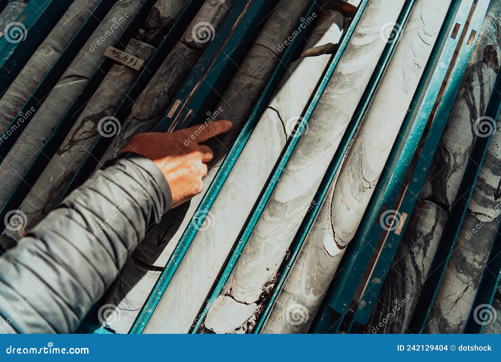 Geological Gold Core Samples with Team of Mining Workers Measuring ...