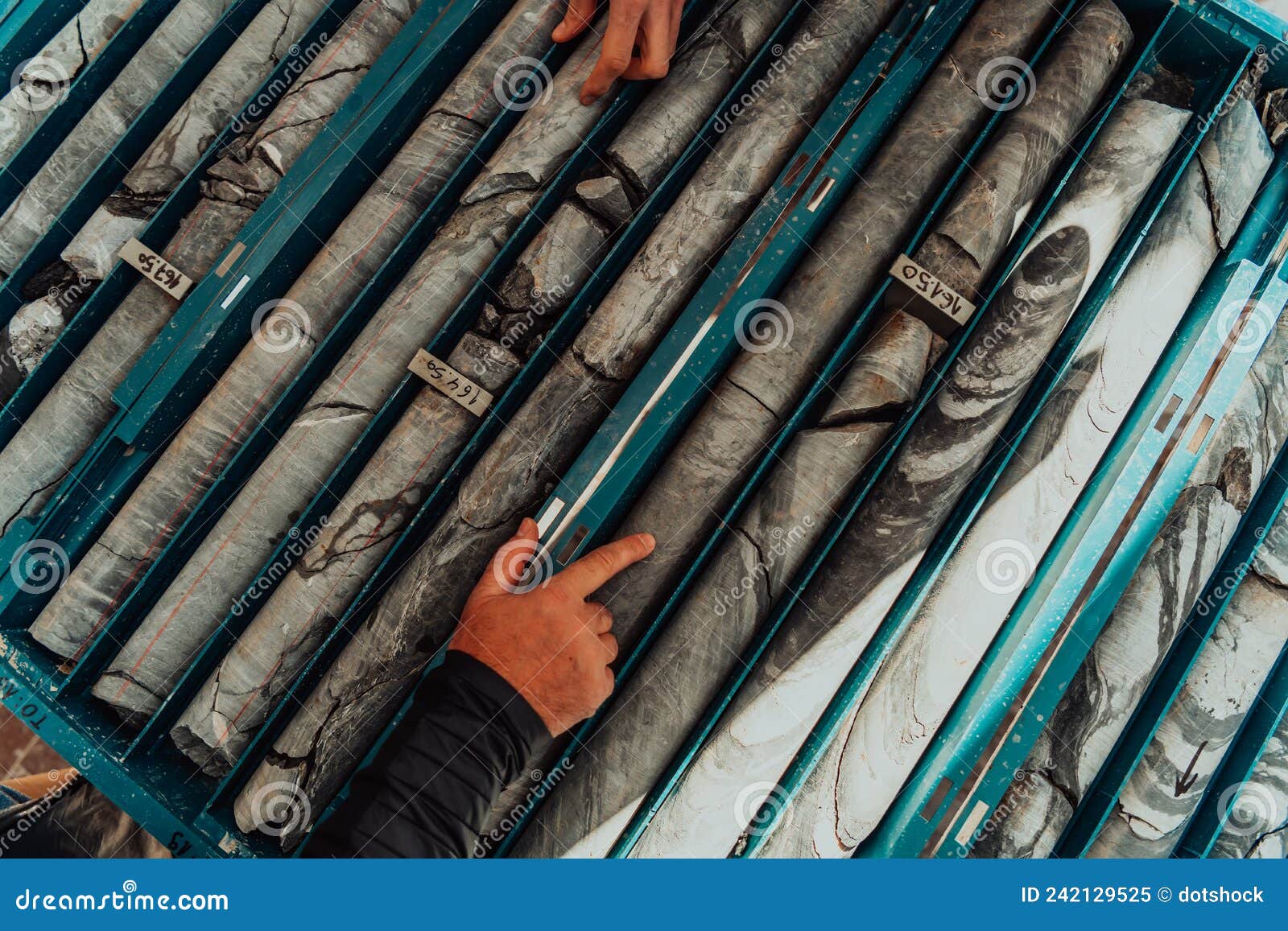 Geological Gold Core Samples with Team of Mining Workers Measuring ...