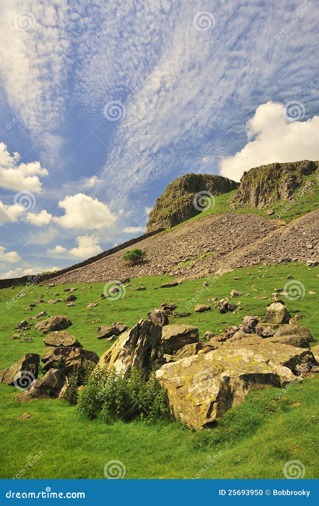Geological Landscape, Yorkshire Dales Stock Photo - Image of field ...
