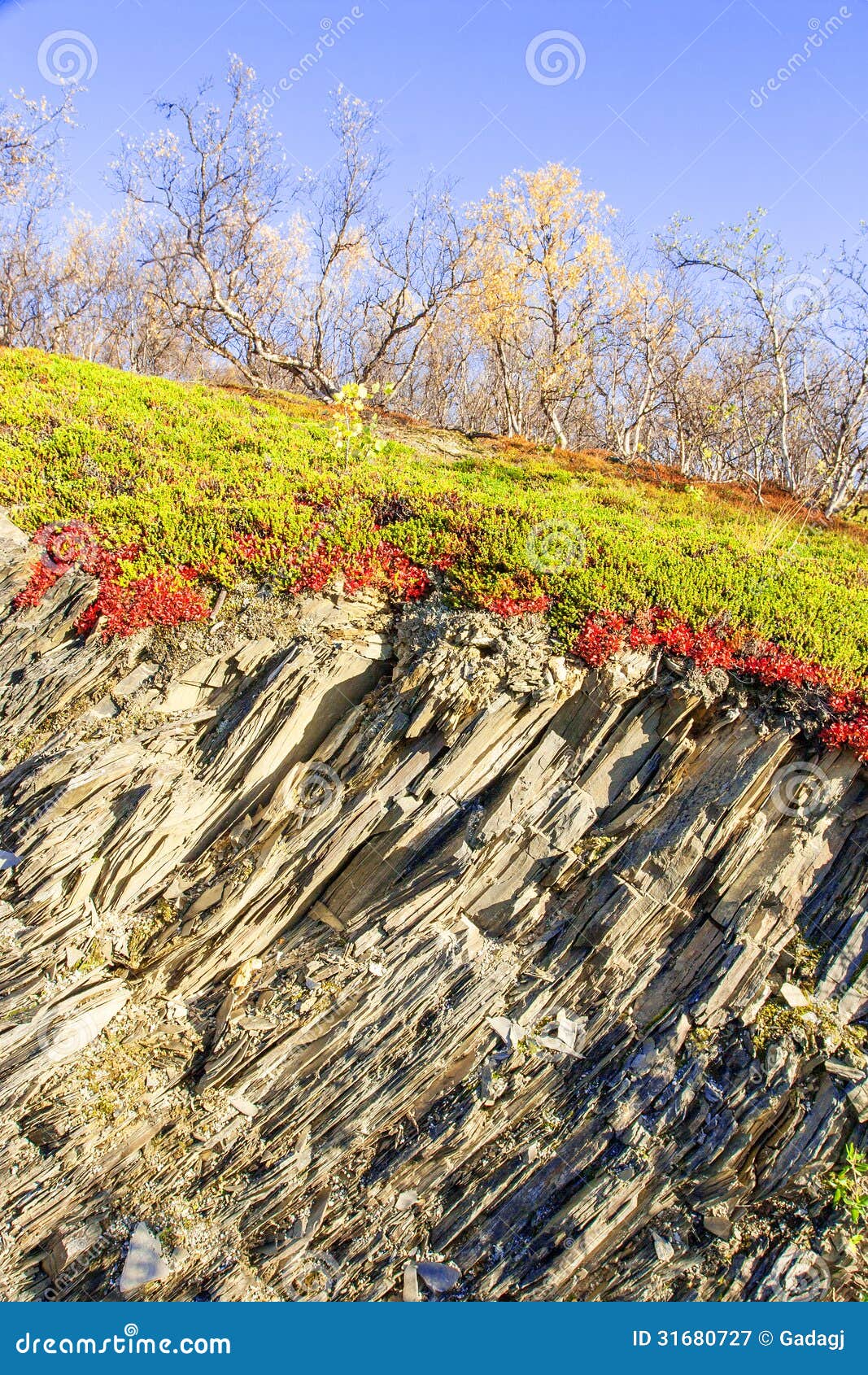 Geological Layer, Concrete Outcrop, Rock Layers, Stone Veins As ...