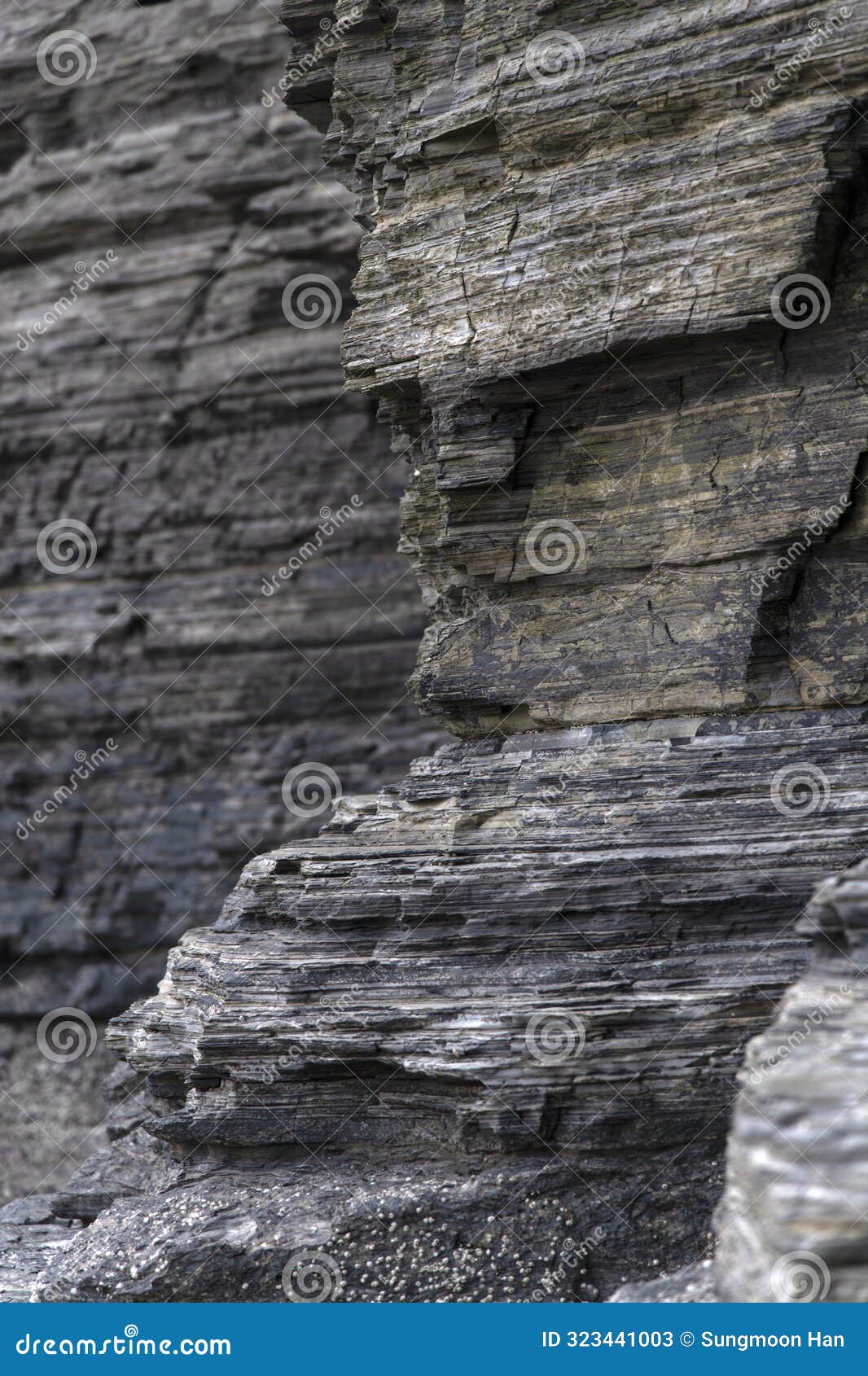 Surface of the Cliff at the Seaside Stock Image - Image of earth ...