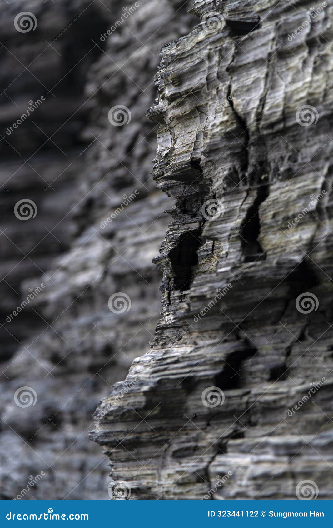 Surface of the Cliff at the Seaside Stock Photo - Image of wall ...