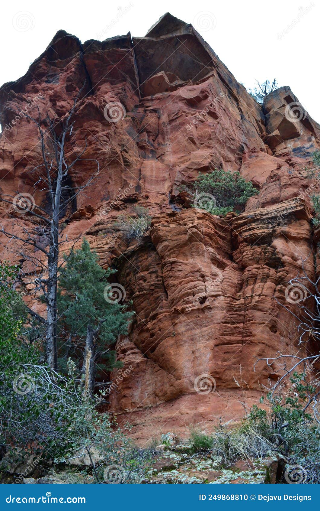 Geological Red Rock Formation with a Smattering of Tree Stock Photo ...
