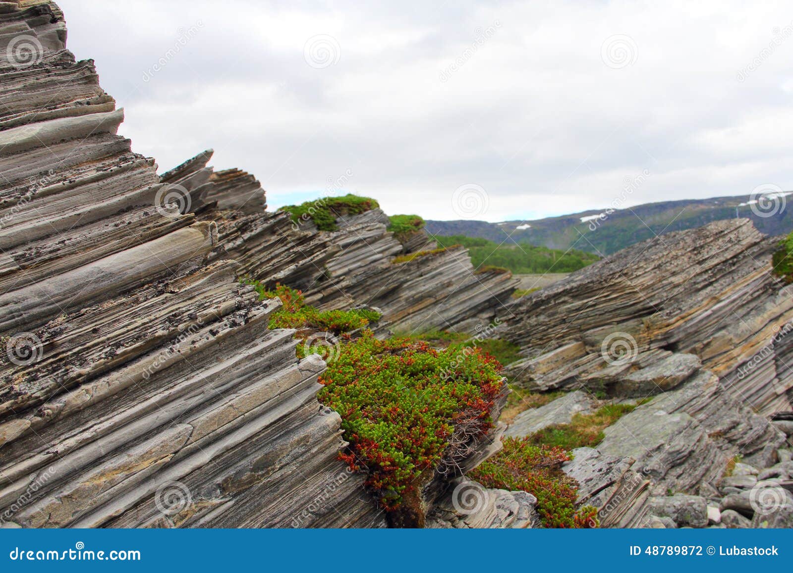 Geological rock layers stock photo. Image of nature, geology - 48789872