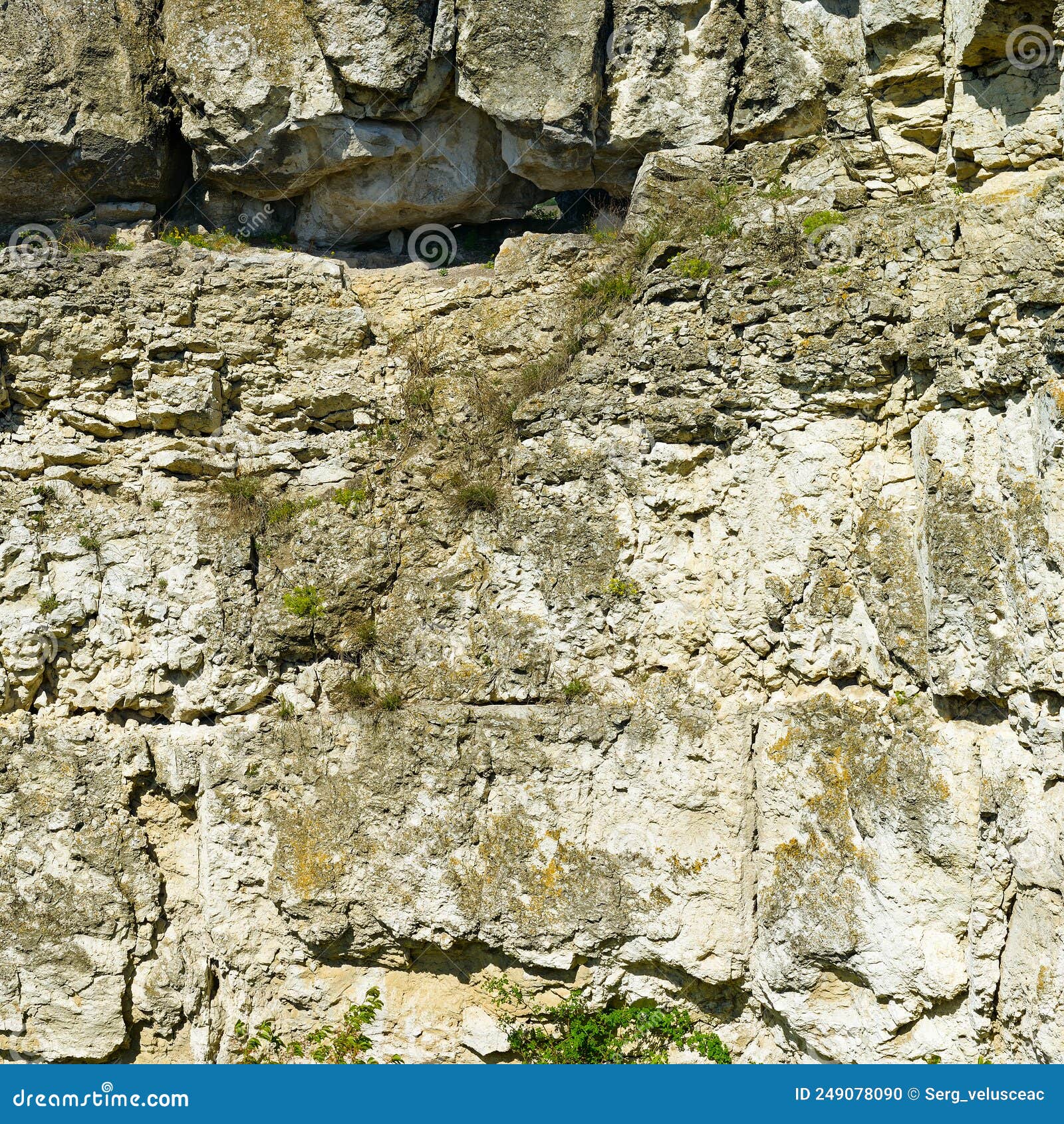 Shell Rock Is A Sedimentary Rock. One Of The Varieties Of Limestone ...