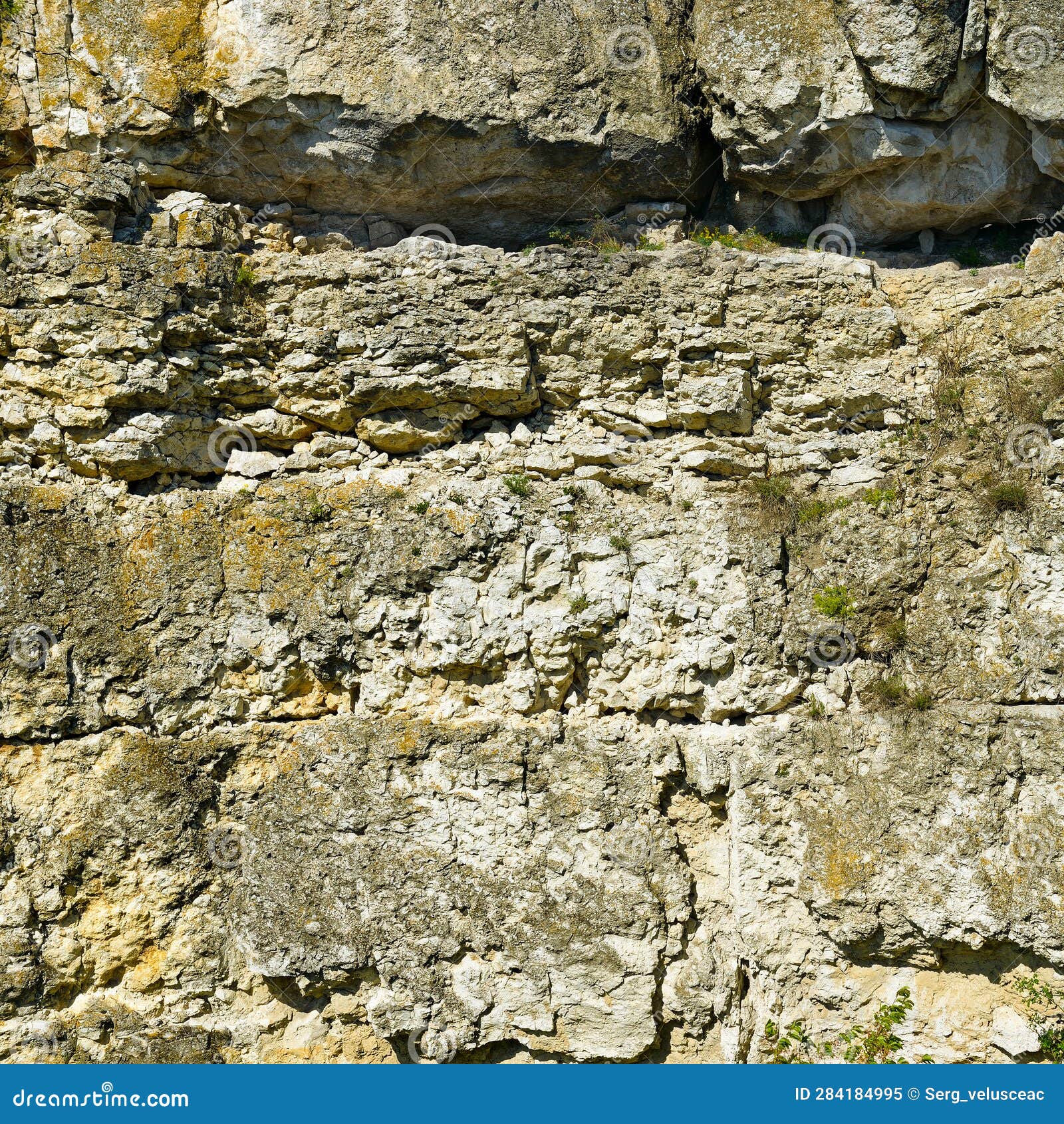 Shell Rock Is A Sedimentary Rock. One Of The Varieties Of Limestone ...