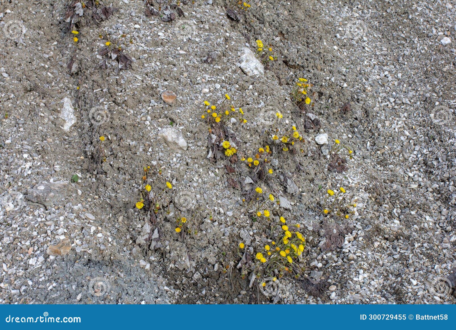 The Geological Structure of a Section of Rocky Soil in a Mining Quarry ...