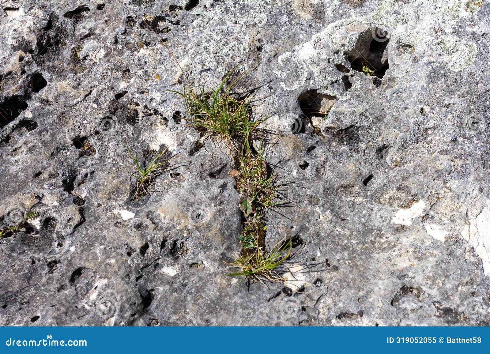 The Structure of Rocks that Came To the Surface, Forming Mountain ...