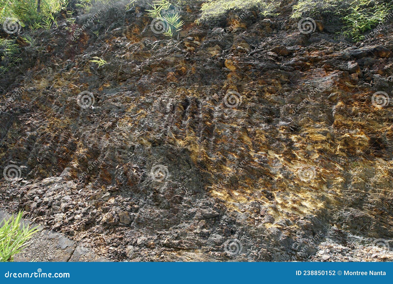 The Geological Structure Shale Sedimentary Rock. Stock Photo - Image of ...