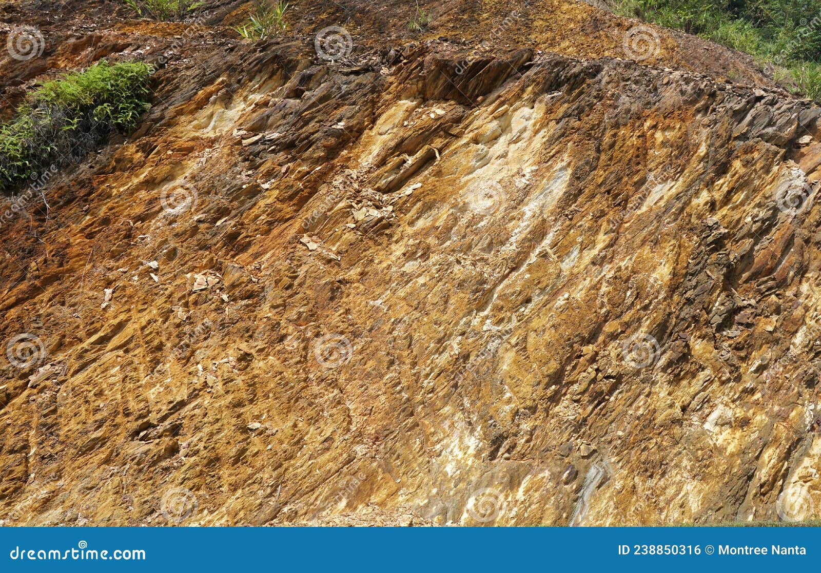 The Geological Structure Shale Sedimentary Rock. Stock Photo - Image of ...
