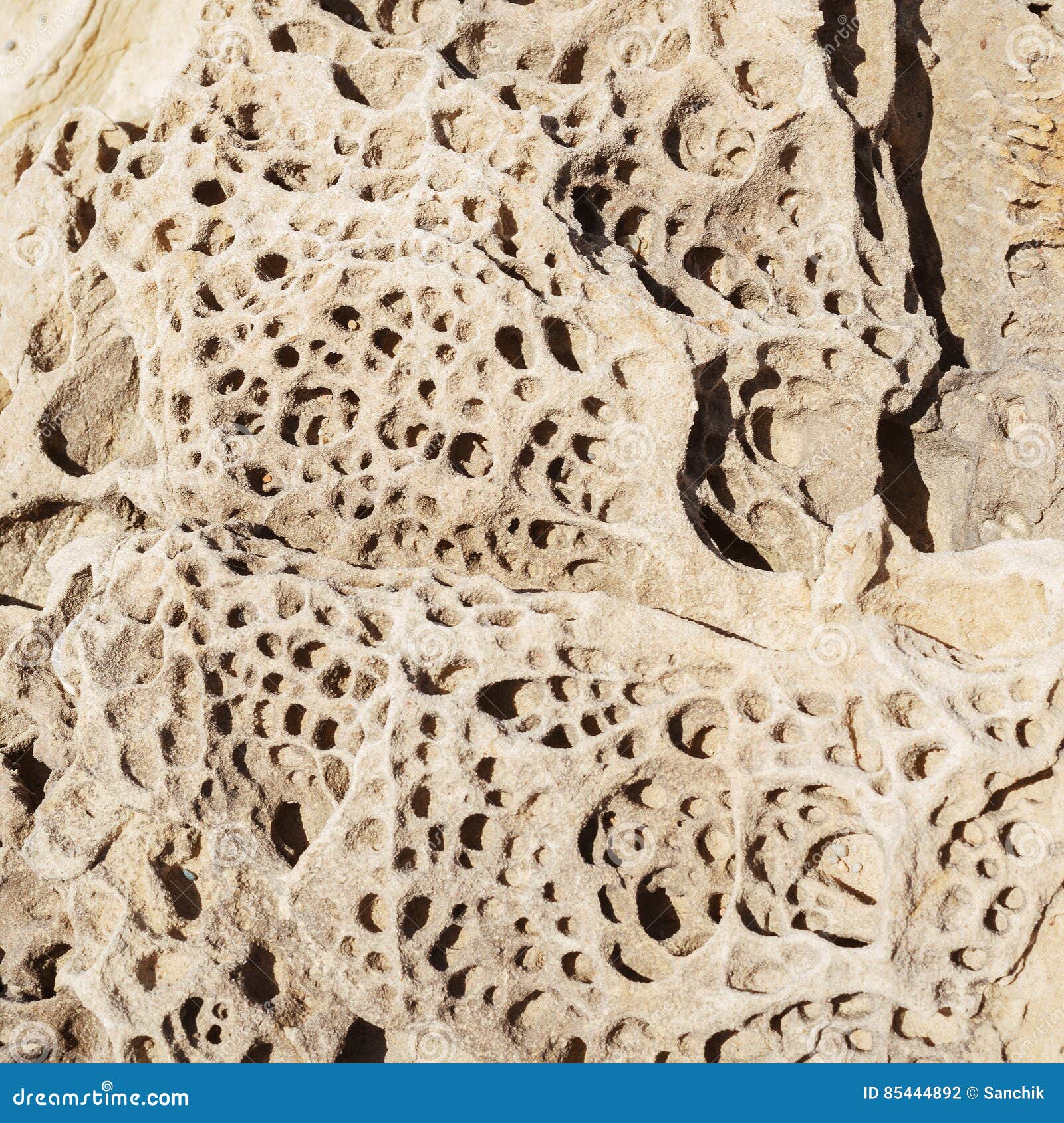 Openwork Cavities Stock Photos - Free & Royalty-Free Stock Photos from ...