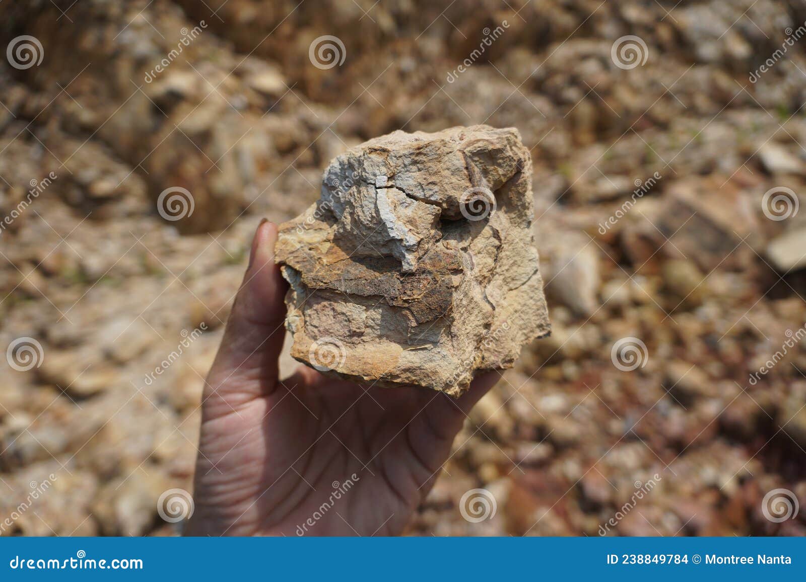 Raw Specimen of Shale Sedimentary Rock in Hand. Stock Photo - Image of ...