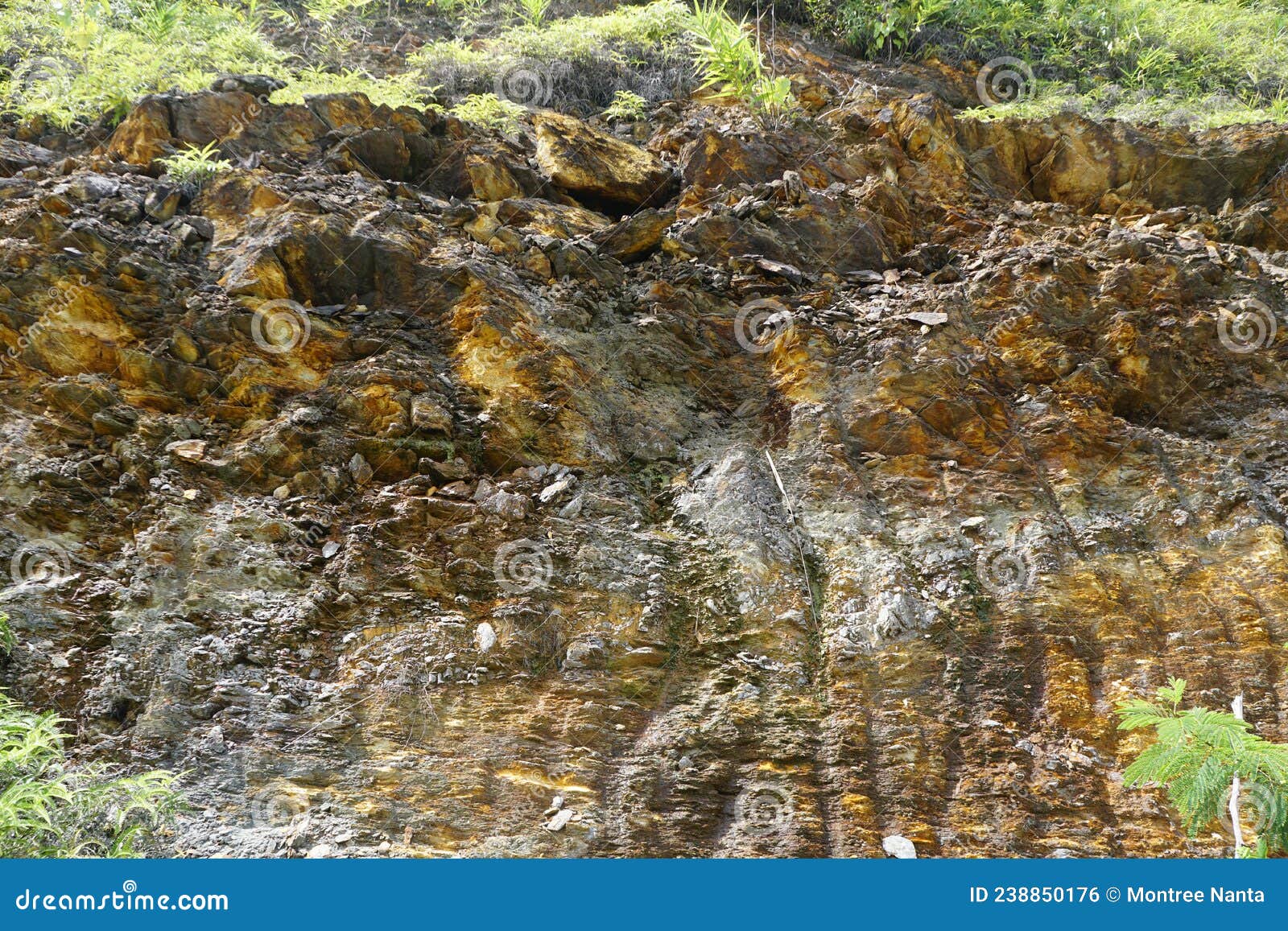 The Geological Structure Shale Sedimentary Rock. Stock Photo - Image of ...