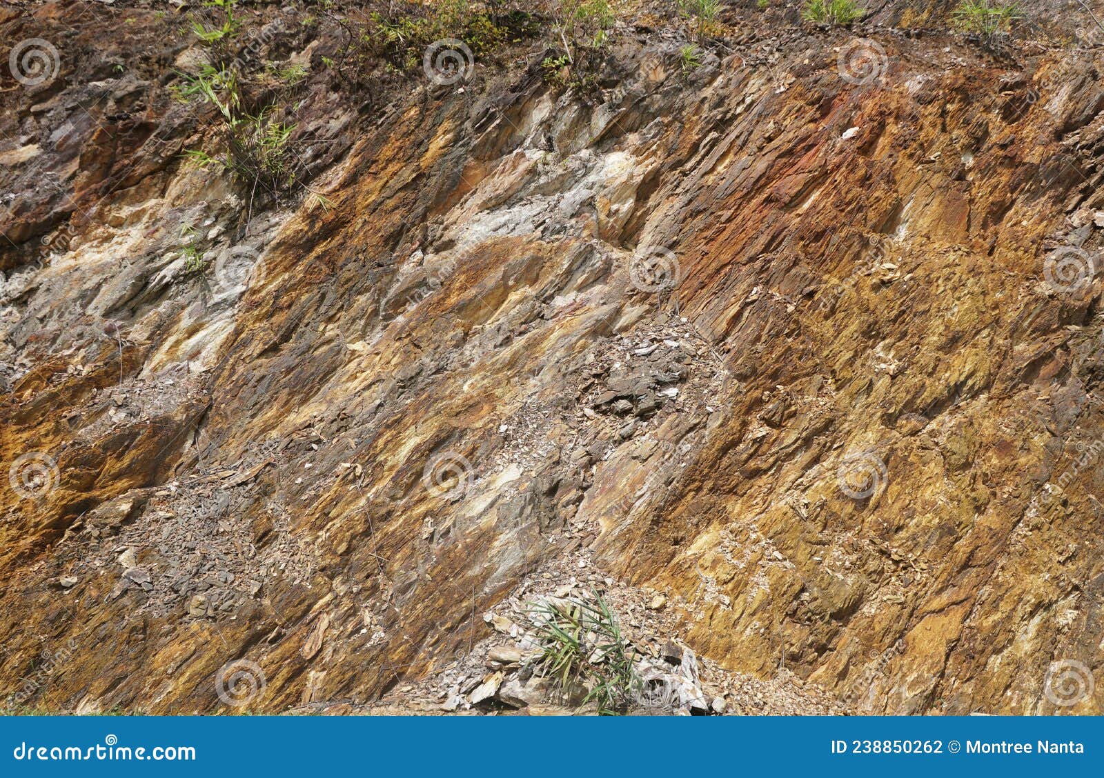 The Geological Structure Shale Sedimentary Rock. Stock Photo - Image of ...