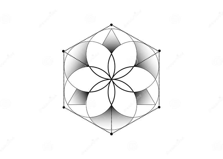 Flower of Life. Sacred Geometry, Symbol of Alchemy Esoteric Metatrons ...