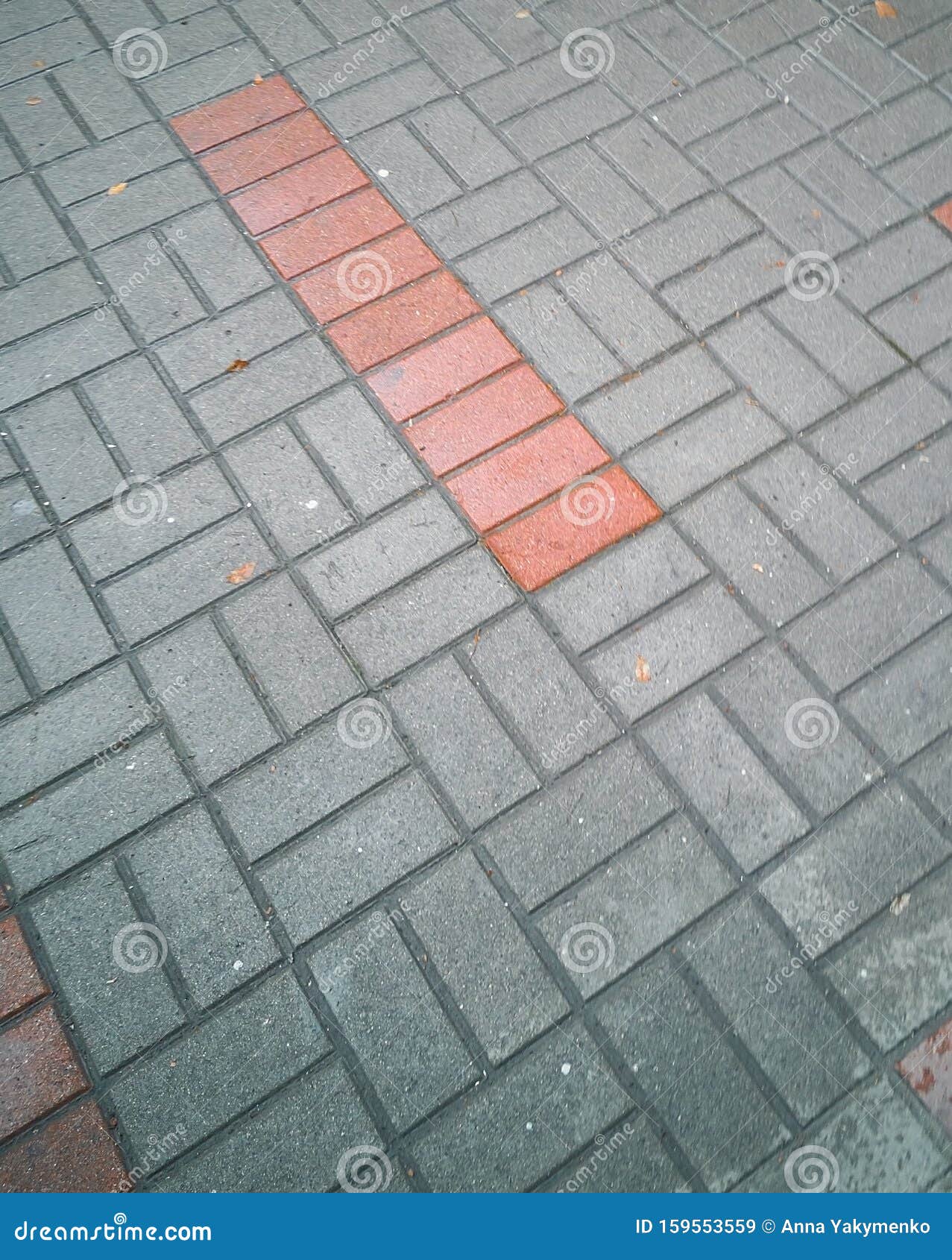 Geometric Background of Paving Slabs of Two Colors of a Rectangular ...