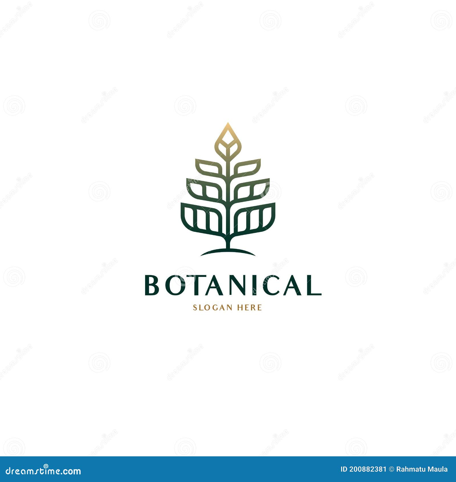 Geometric Botanical Nature Tree Logo Outline Drawing Vector with Luxury ...