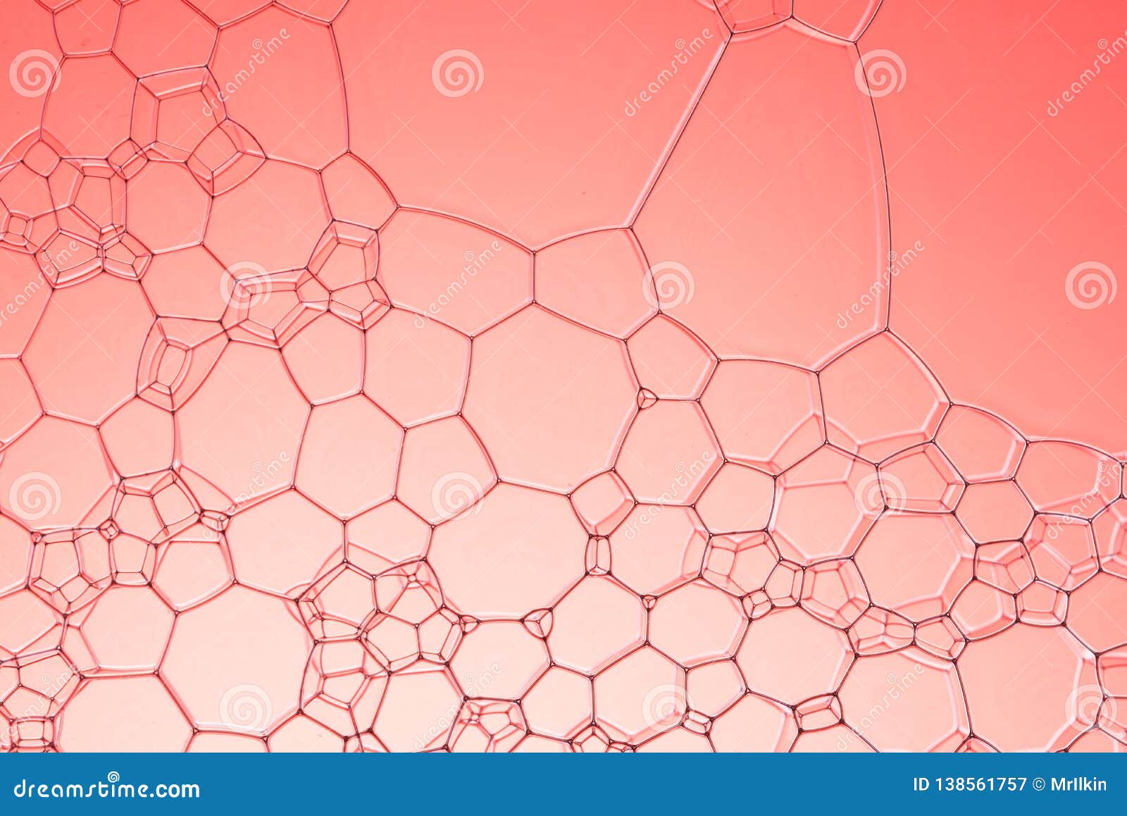 Geometric Cells Formed by Soap Bubbles and Water, for Background or ...