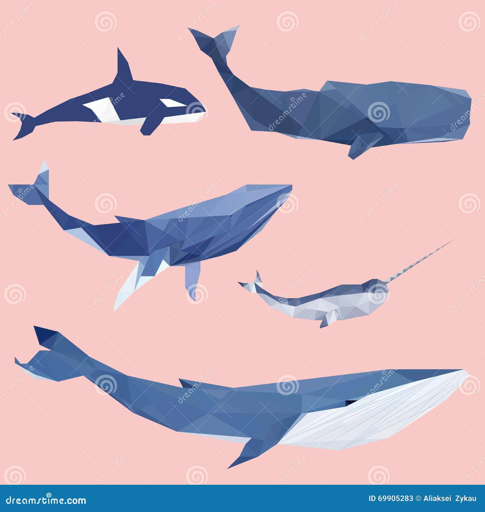 Geometric Orca Silhouette. Cartoon Vector | CartoonDealer.com #240919941