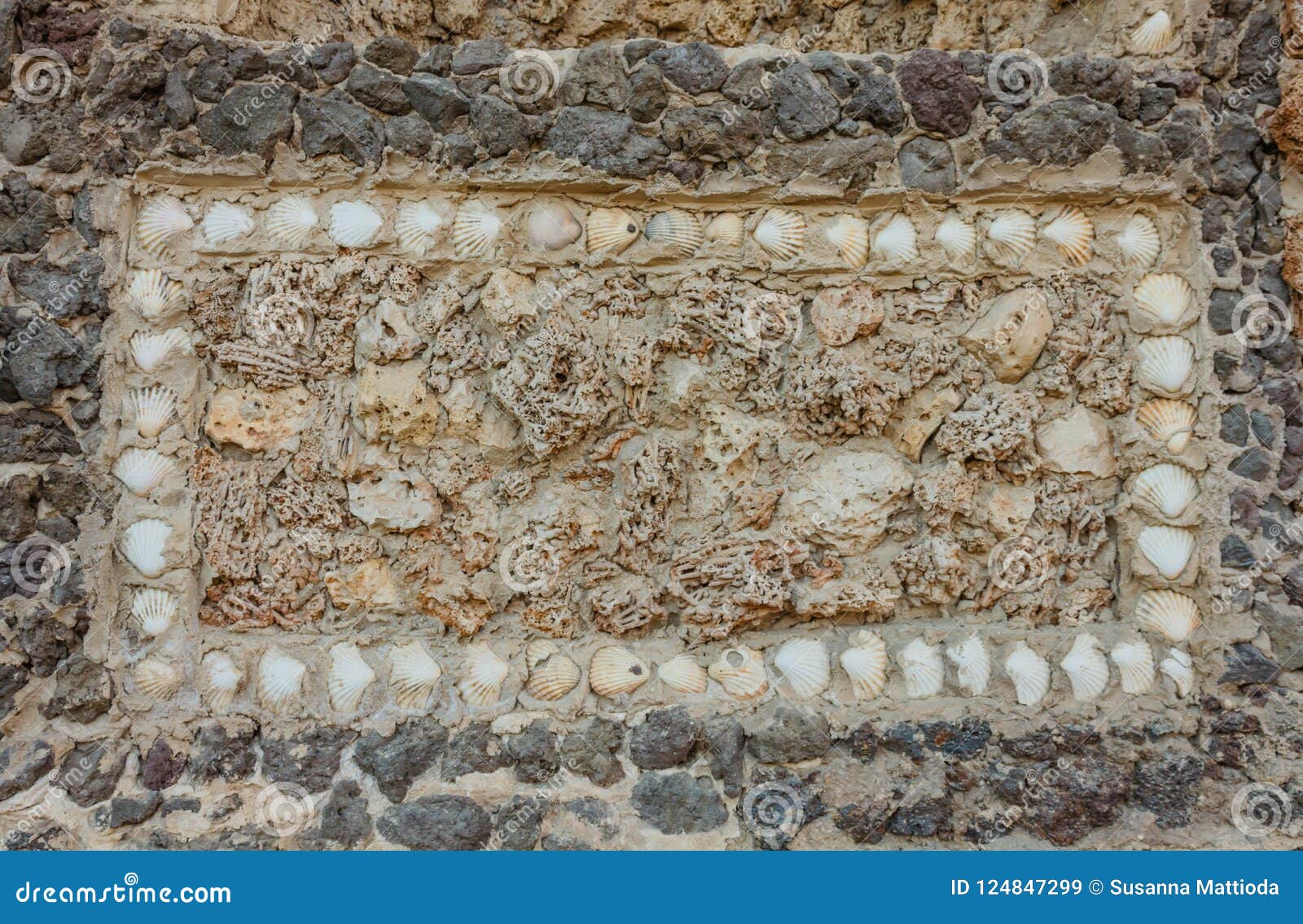 Original Rectangle of Seashells and Marine Sponges on a Stone Wa Stock ...