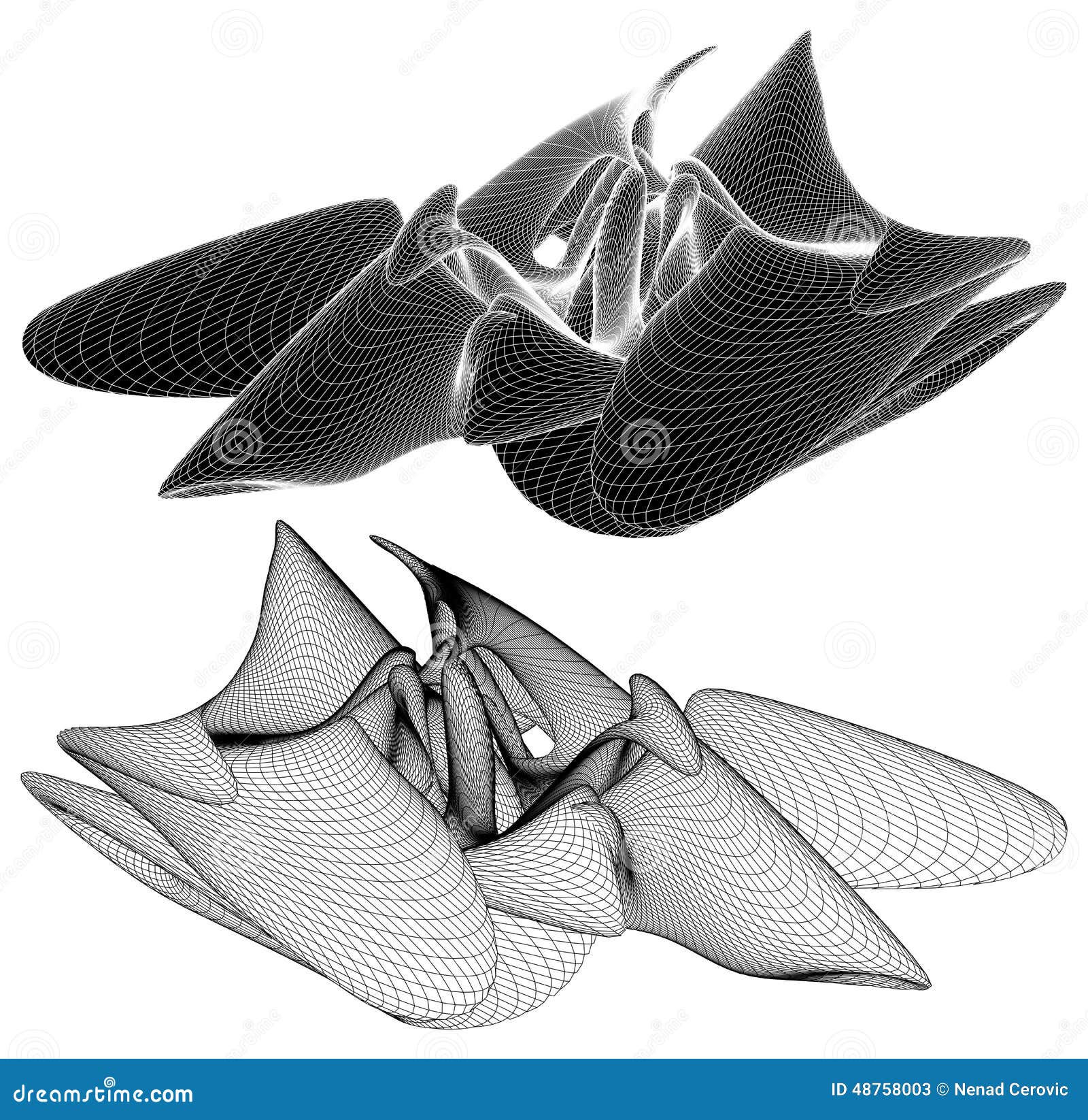 Geometric Curved Organic Wireframe Shape Vector Stock Vector ...