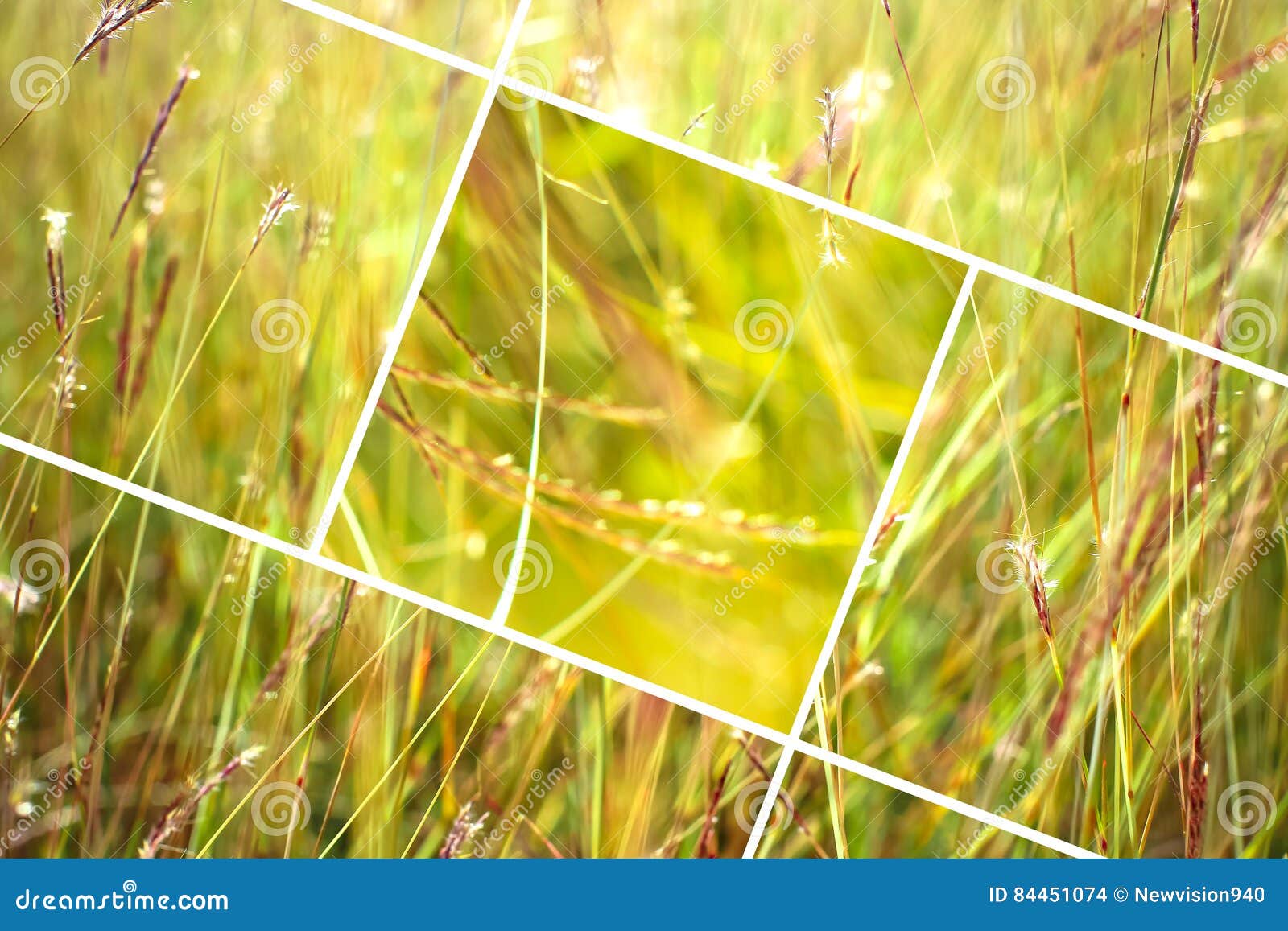 Geometric Grass Abstract Background with Triangles and Lines. Stock ...