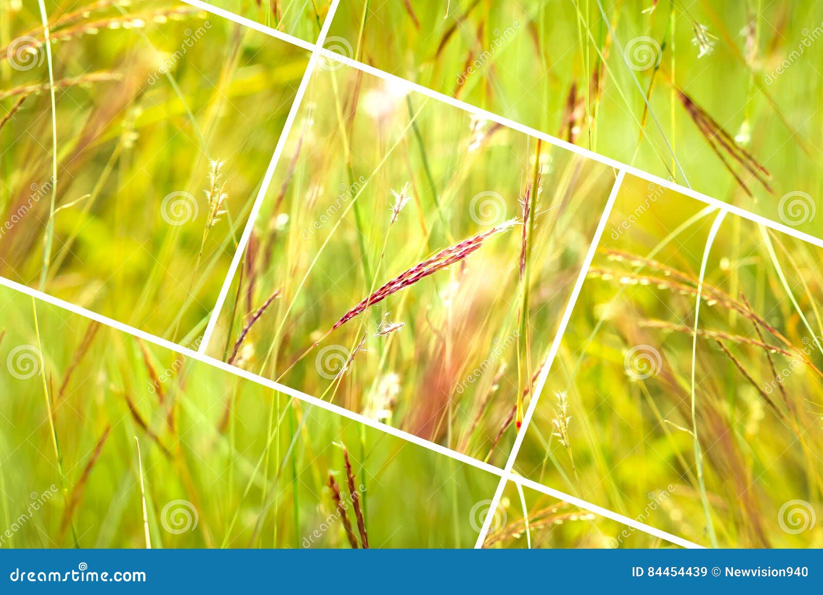Geometric Grass Abstract Background with Triangles and Lines. Stock ...