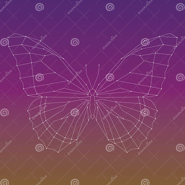 Geometric linear butterfly stock vector. Illustration of modern - 87469817