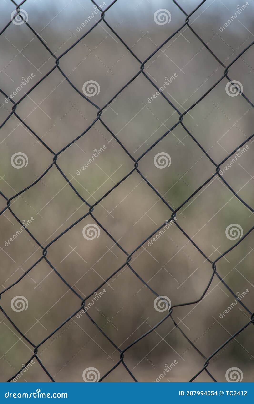 Geometric Mesh of a Wire To Divide Two Properties Stock Photo - Image ...