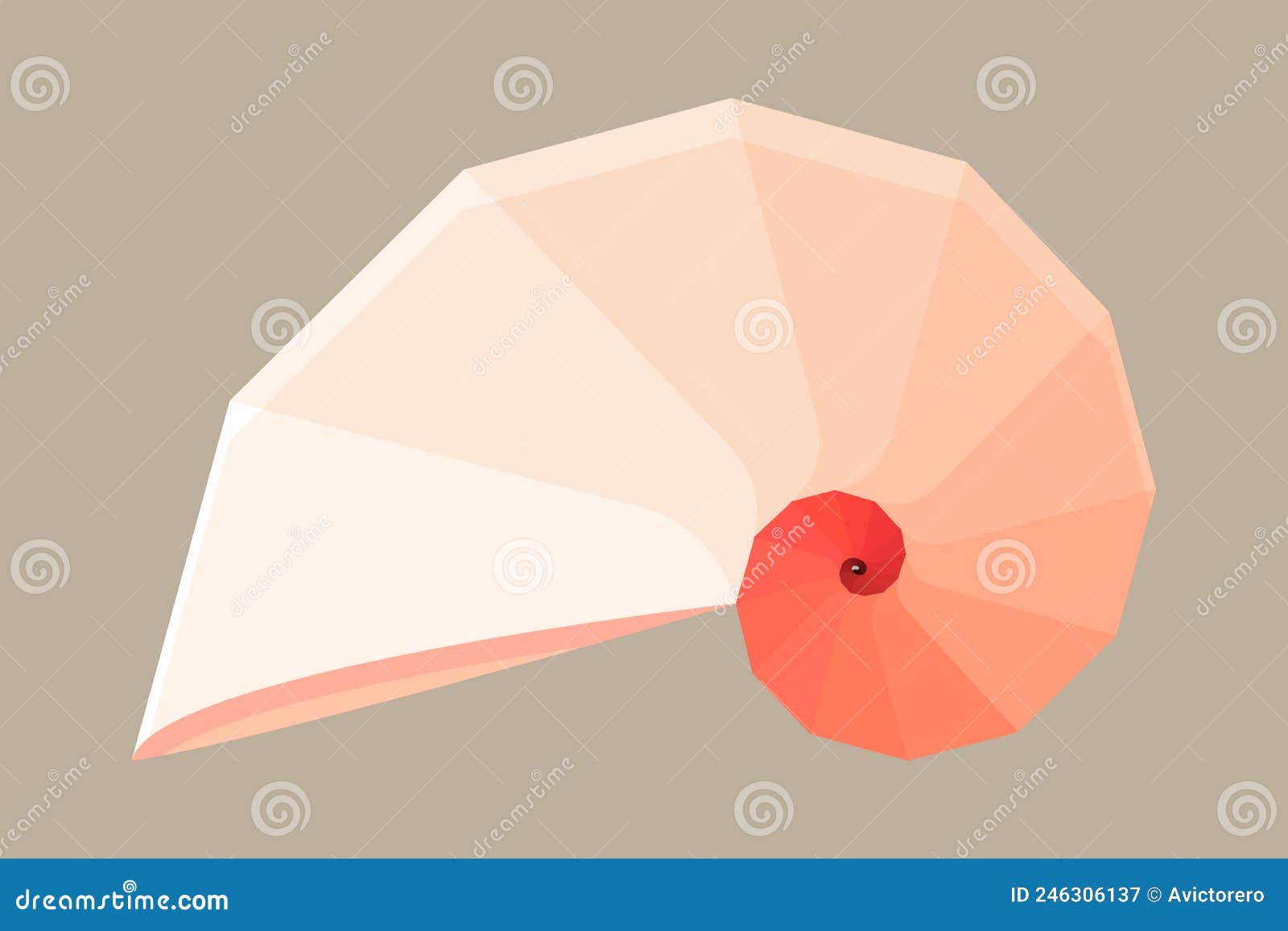 Geometric Nautilus Shell Symbol Stock Vector - Illustration of ...